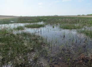 Z-BAR RANCH LLC | Grasslands Beneficial Management Practices